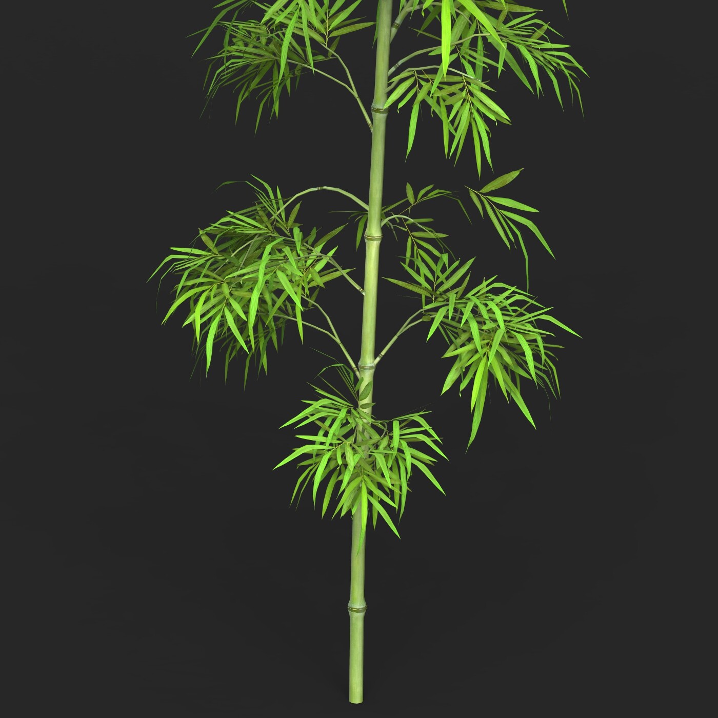 ArtStation - Realistic Game Ready Bamboo Tree 03 | Resources