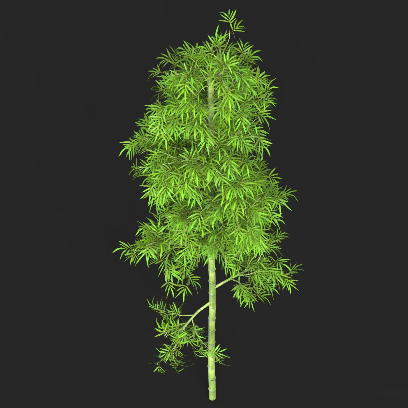 ArtStation - Realistic Game Ready Bamboo Tree 07 | Resources