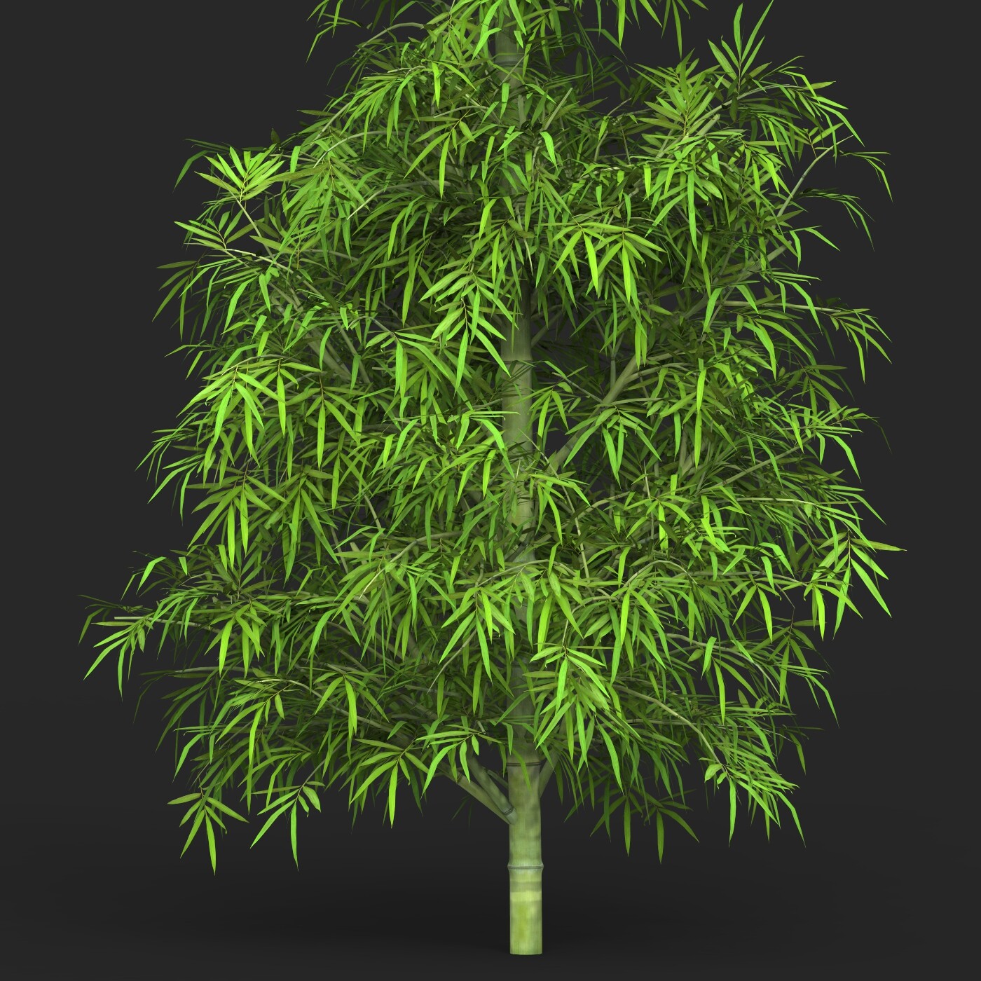 ArtStation - Realistic Game Ready Bamboo Tree 09 | Resources