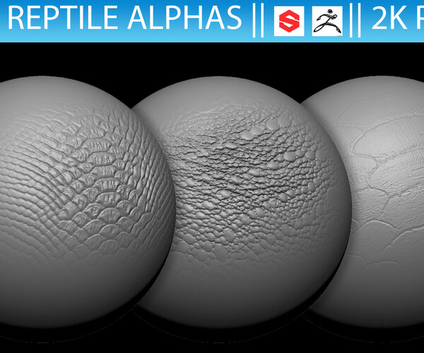ArtStation - 15 Reptile Alphas (ZBrush, Substance, 2K, PSD) | Brushes