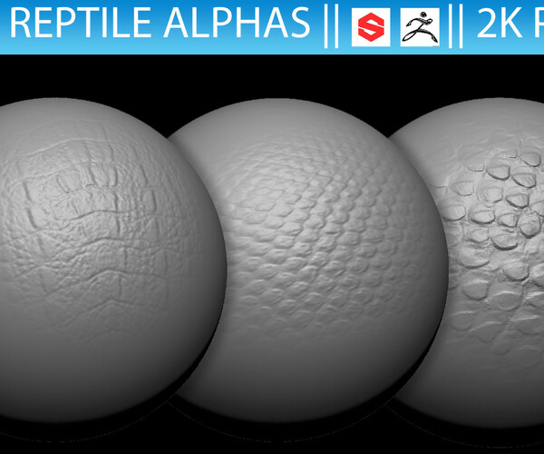 ArtStation - 15 Reptile Alphas (ZBrush, Substance, 2K, PSD) | Brushes
