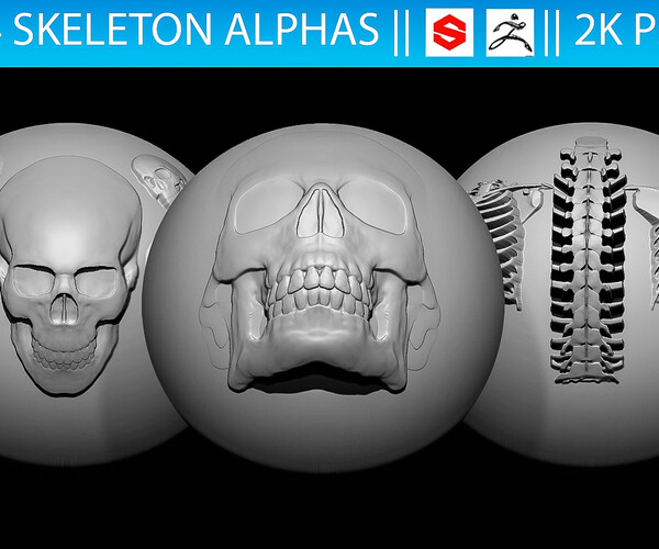 ArtStation - 14 Skeleton Alphas Vol.2 (ZBrush, Substance, 2K) | Brushes