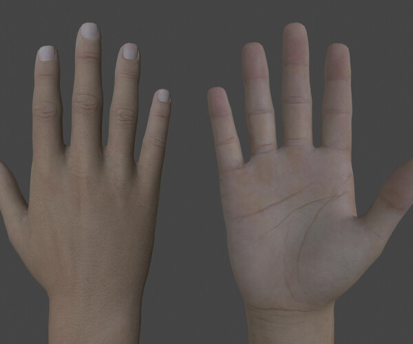 ArtStation - HAND.036 Counting Animation | Game Assets