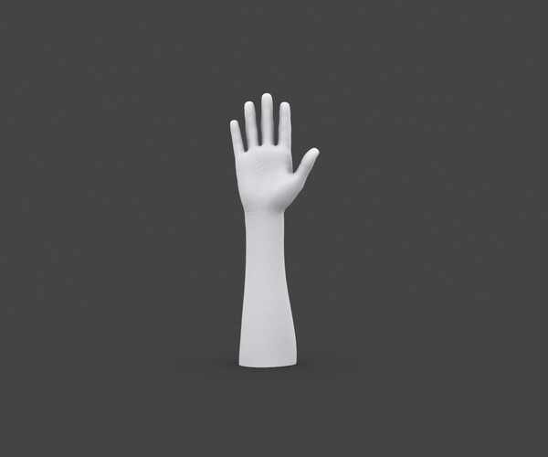 ArtStation - HAND.036 Counting Animation | Game Assets