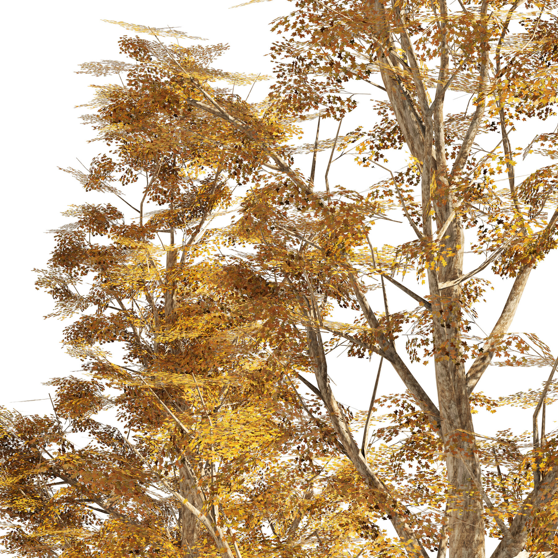 ArtStation - 4 Summer & Fall Street london plane trees | Resources