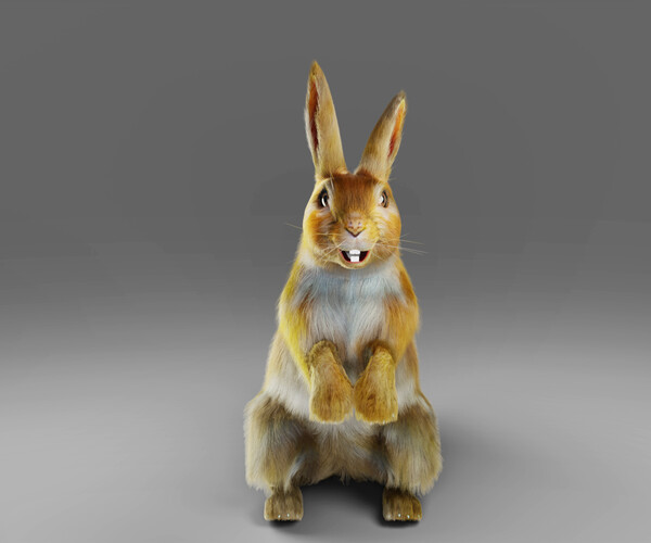 ArtStation - Fur Rabbit V01 Rigged in Blender | Game Assets