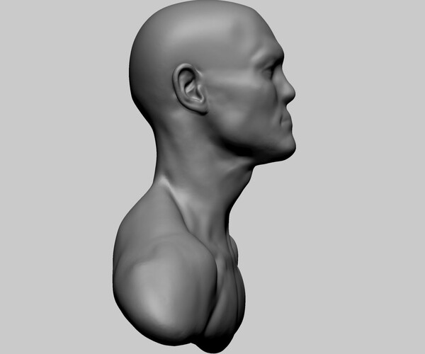 ArtStation - Base Male Head B | Resources