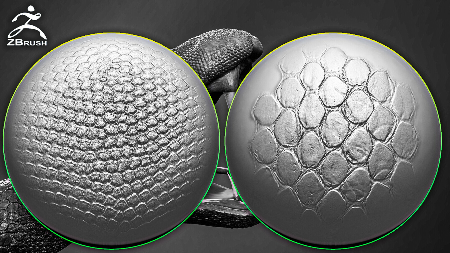 ArtStation - Reptile Skin Alphas for ZBrush | Brushes