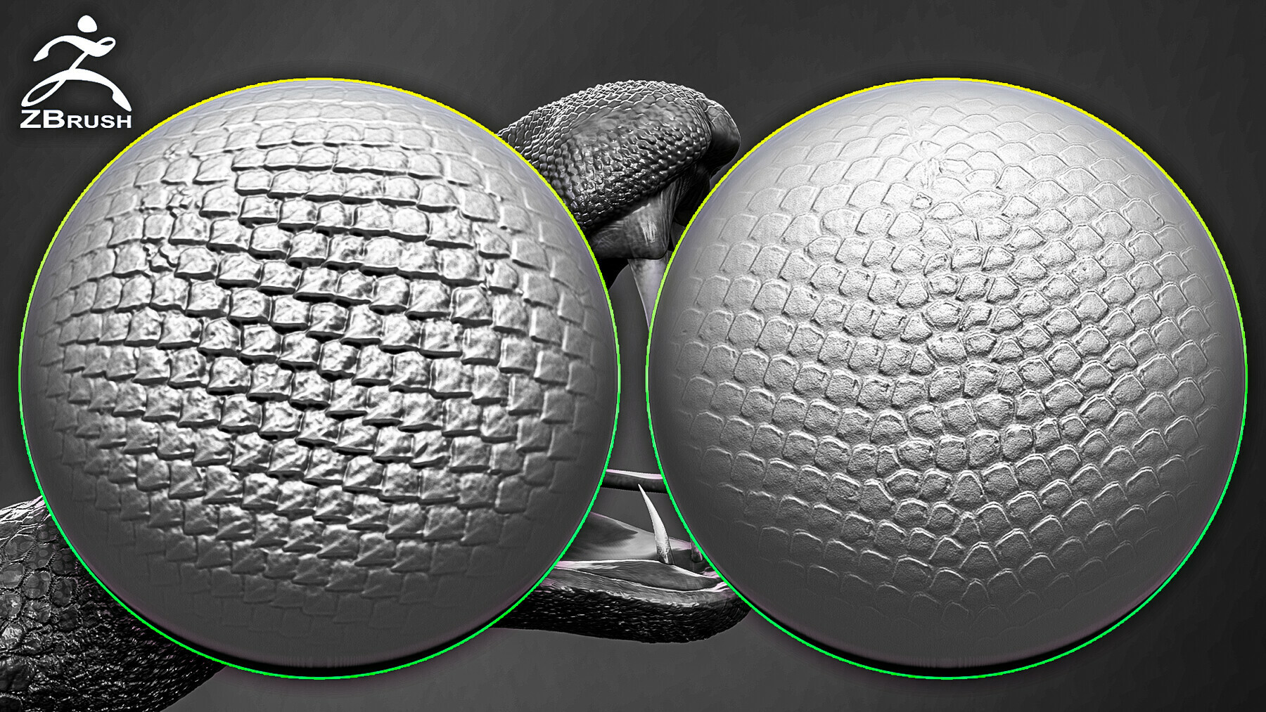 ArtStation - Reptile Skin Alphas for ZBrush | Brushes