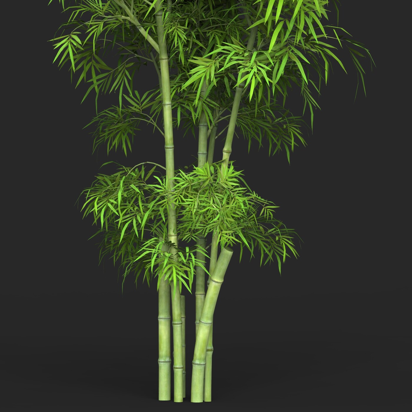 ArtStation - Realistic Game Ready Bamboo Tree 14 | Resources