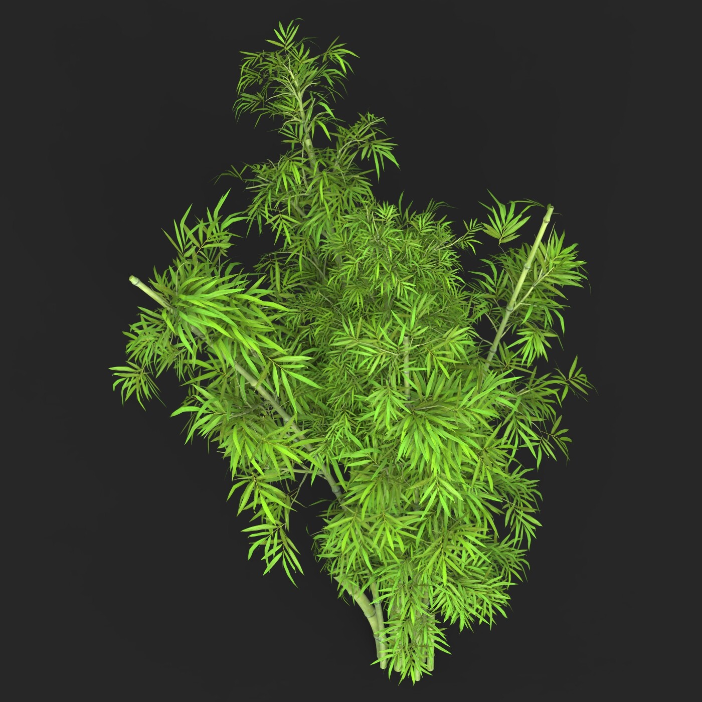 ArtStation - Realistic Game Ready Bamboo Tree 14 | Resources