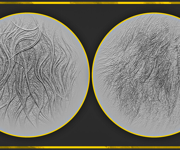 ArtStation - 20 Fur and Hair Alphas for ZBrush | Brushes