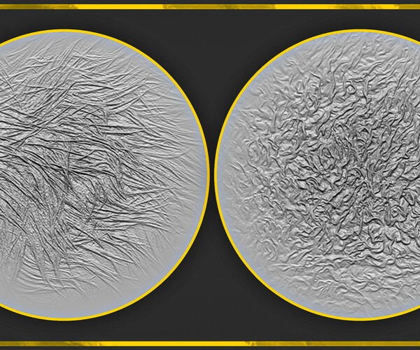 ArtStation - 20 Fur and Hair Alphas for ZBrush | Brushes