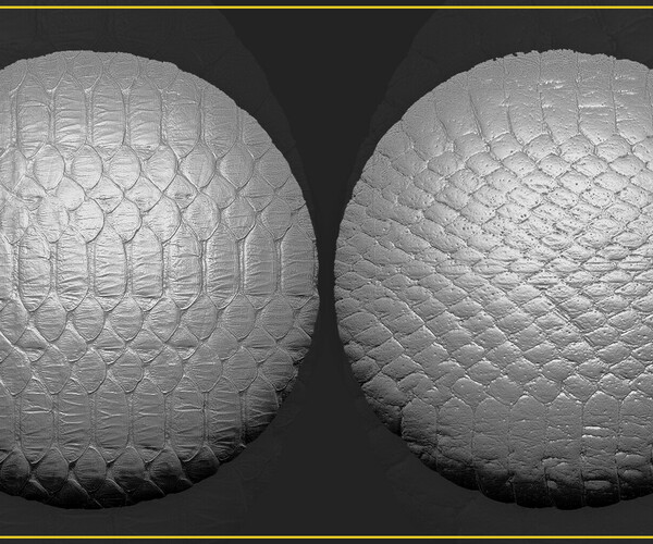 ArtStation - Reptile Skin Alphas Tileable (ZBrush, 2K) | Brushes