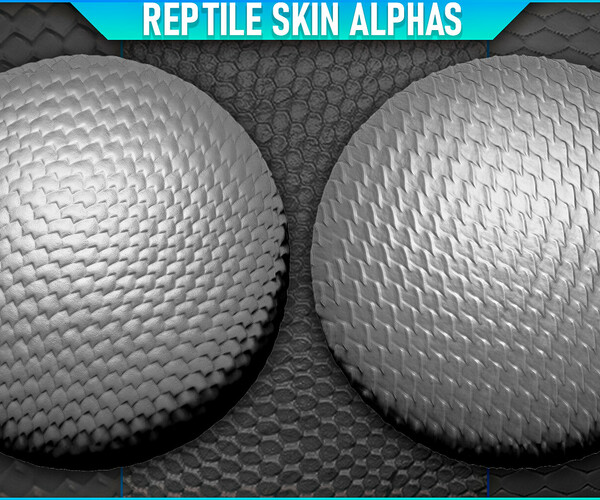 ArtStation - Reptile Skin Alphas Tileable vol. 3 (ZBrush, 2K) | Brushes