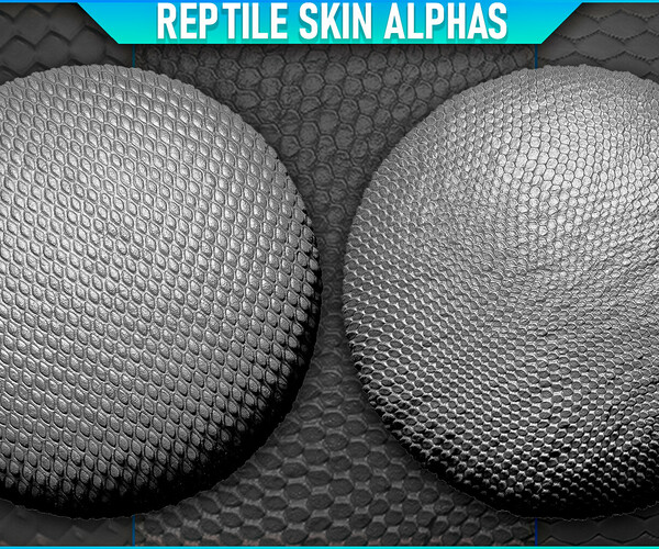 ArtStation - Reptile Skin Alphas Tileable vol. 3 (ZBrush, 2K) | Brushes