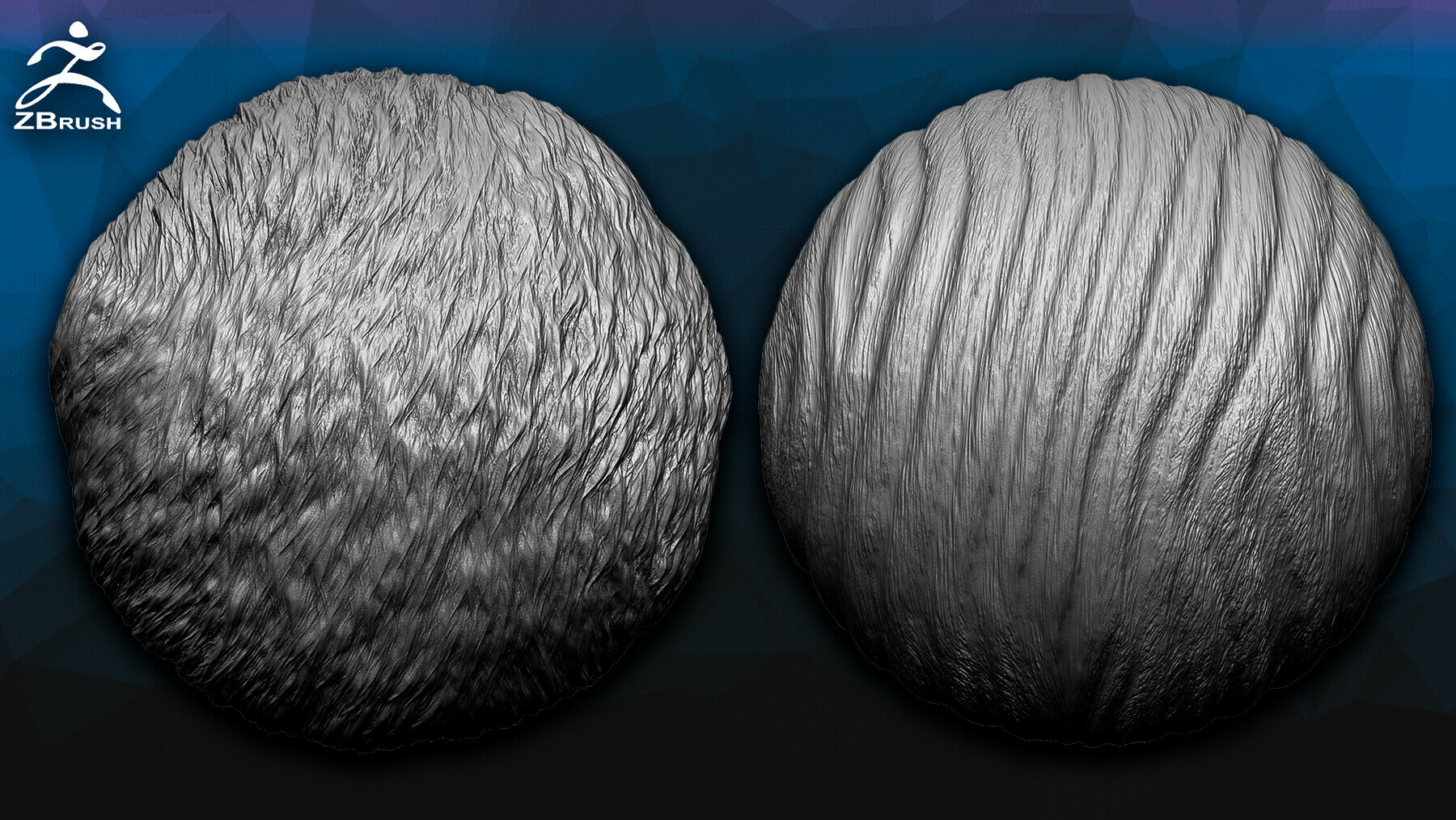 ArtStation - 10 Fur Alphas for ZBrush vol.3 | Brushes