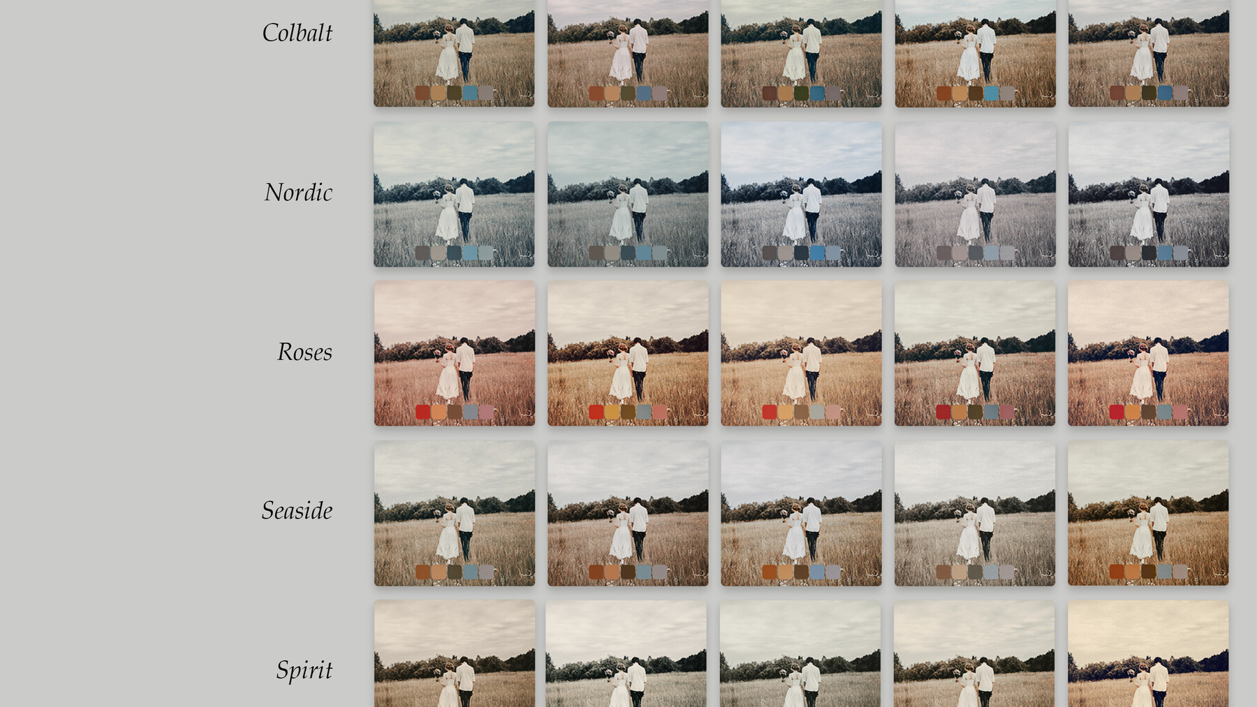ArtStation - 25 Earthy Tones LUTs & Lightroom Presets | Resources