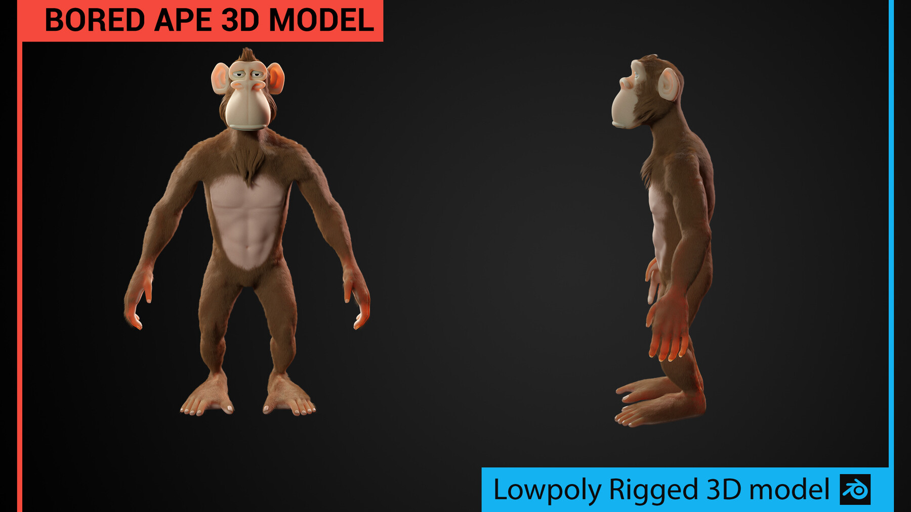 ArtStation - Bored Ape Rigged 3D model | Game Assets