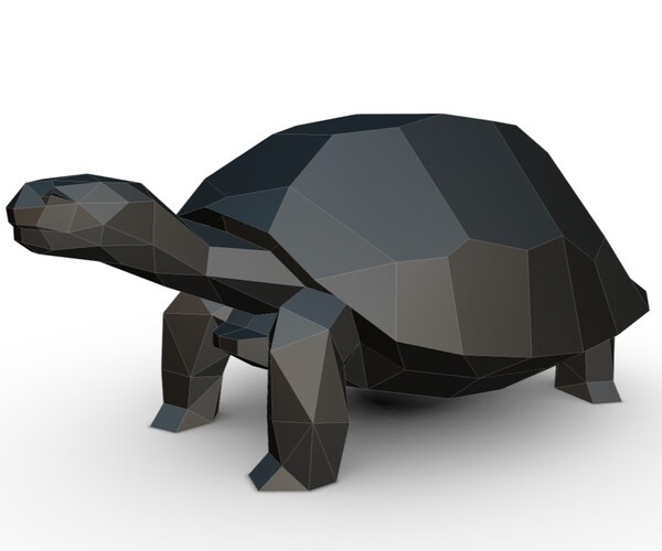 ArtStation - turtle figure | Resources