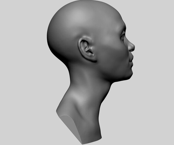 ArtStation - Base Female Head A | Resources