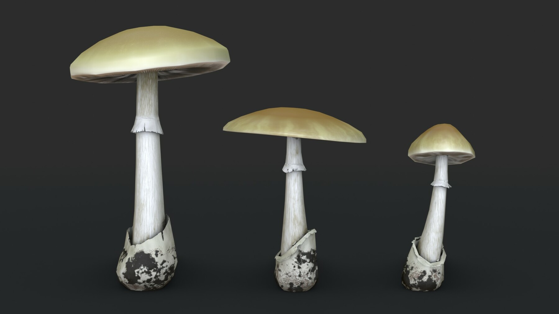 ArtStation - Death Cap Mushroom Set | Game Assets