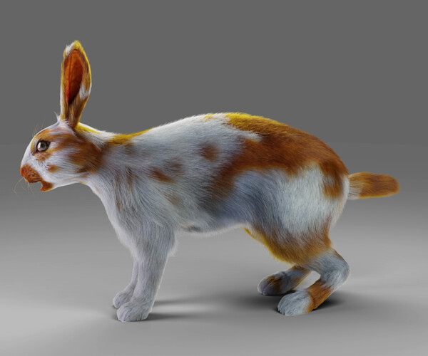 ArtStation - Fur Rabbit Gray V03 Rigged and Animation | Game Assets