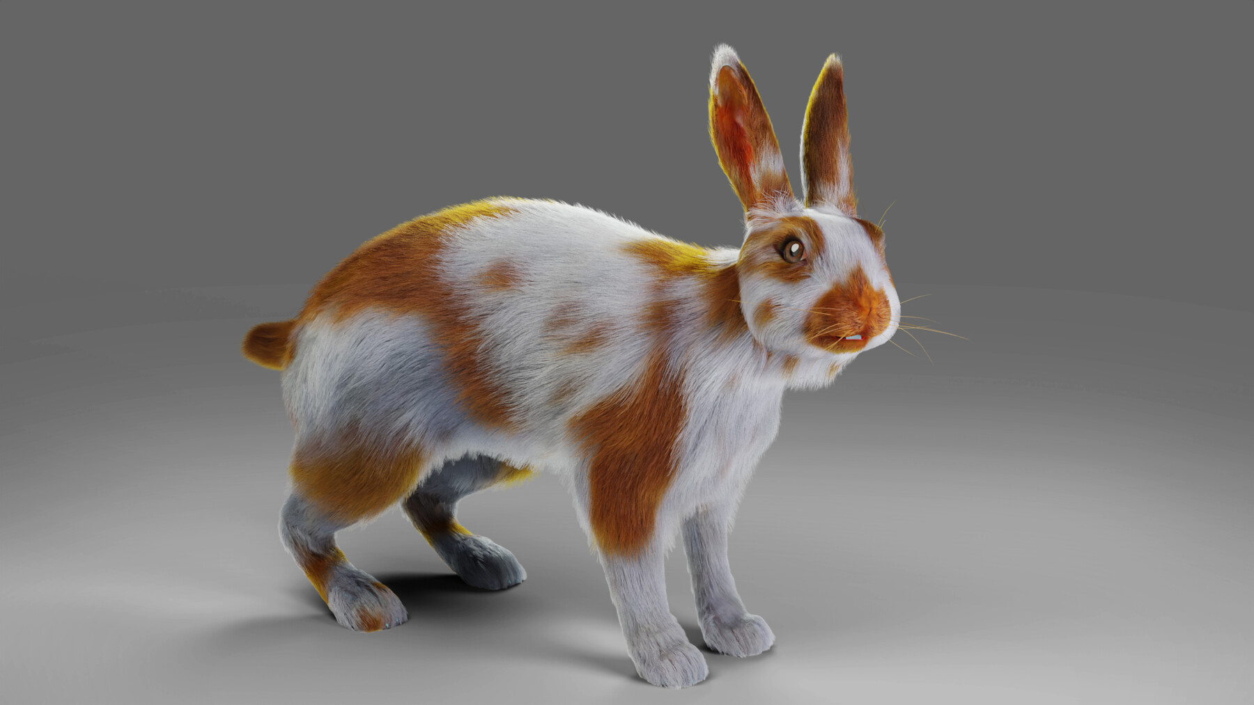 ArtStation - Fur Rabbit Gray V03 Rigged and Animation | Game Assets