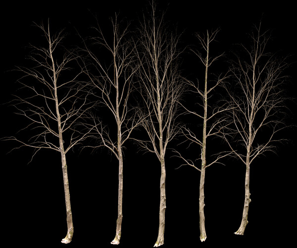 ArtStation - 5 Forest Dry trees San Low-poly | Resources