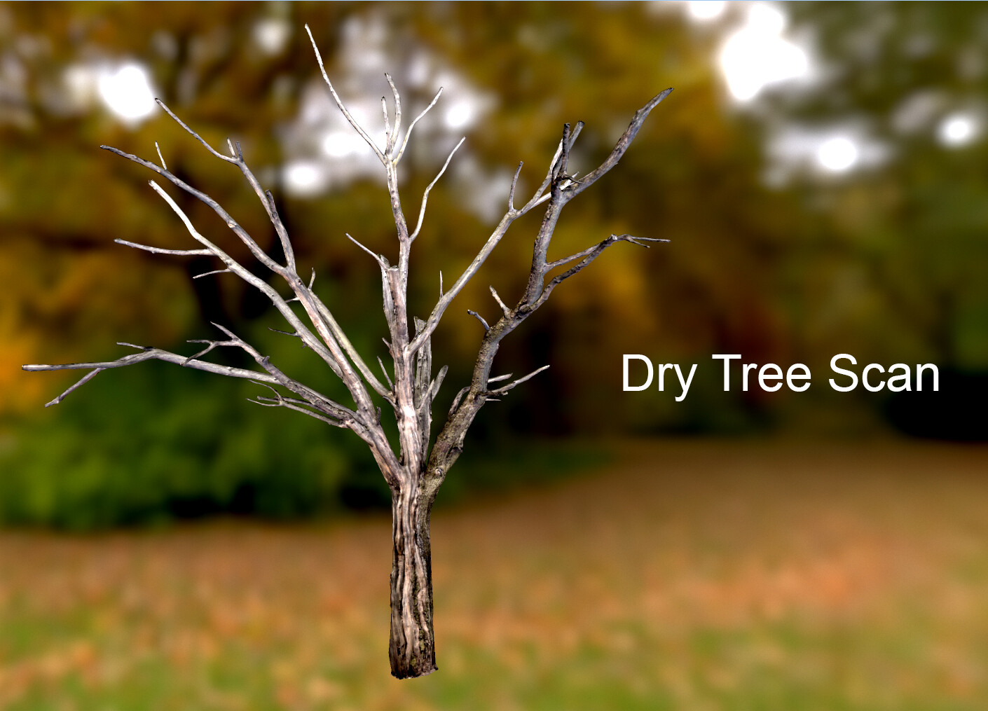 ArtStation - Dry Tree Scan Low-poly | Game Assets