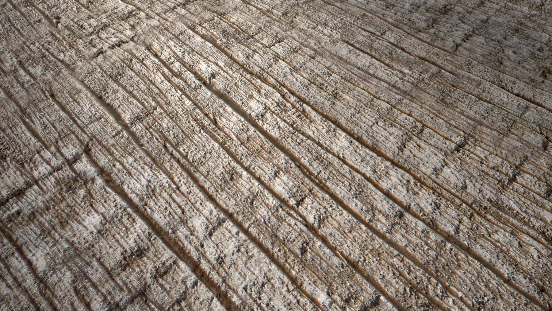 ArtStation - Base Material-Tree Bark | PBR Material+Textures | Game Assets