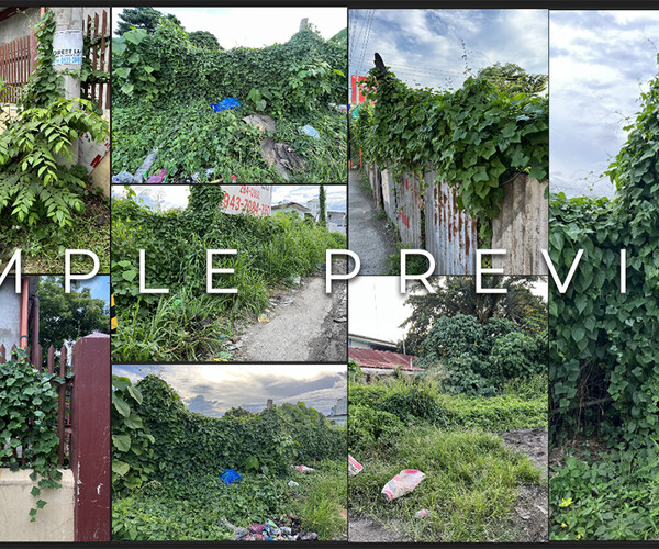 ArtStation - Vines Pack V-01S - 10 Royalty Free Photo Reference Pack ...