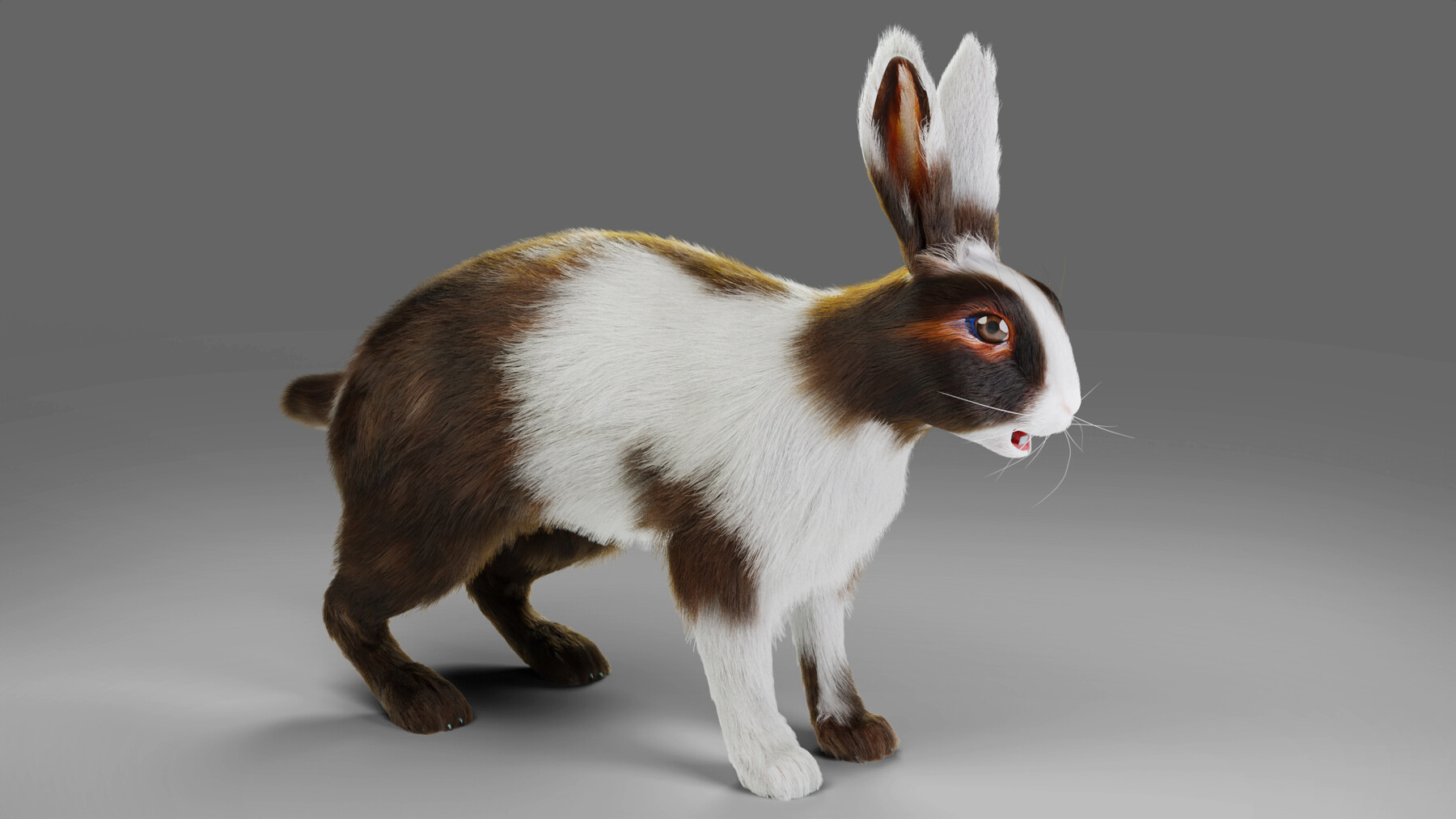 ArtStation - Fur Rabbit Gray V04 Rigged and Animation | Game Assets