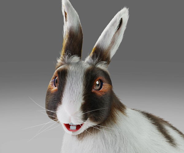 ArtStation - Fur Rabbit Gray V04 Rigged and Animation | Game Assets