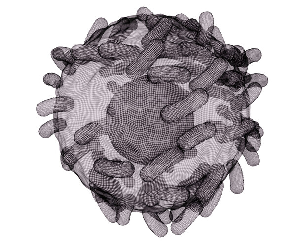 ArtStation - Monkeypox Virus smallpox viruela mono | Resources