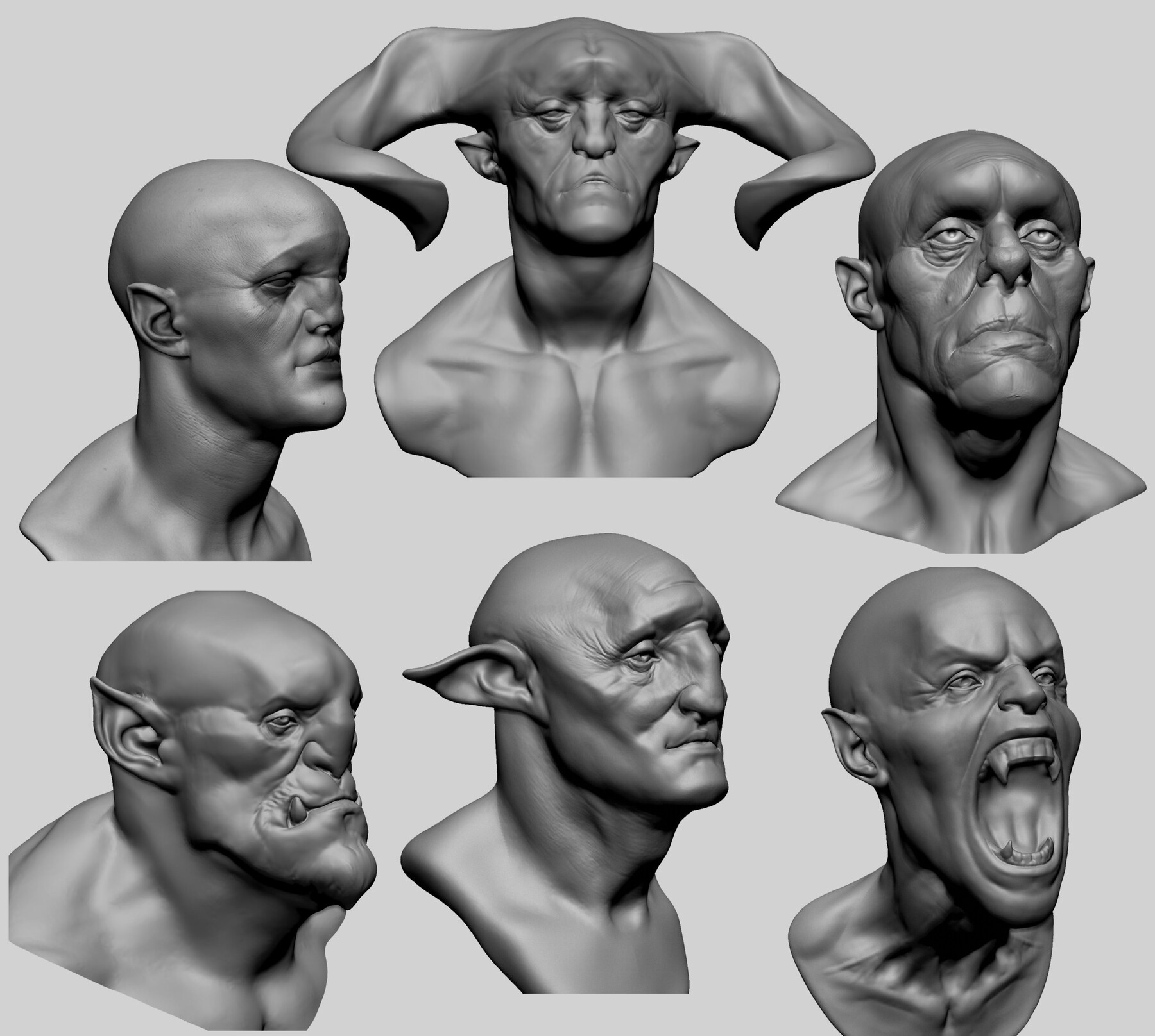ArtStation - Creature Head Models for Reference | Resources