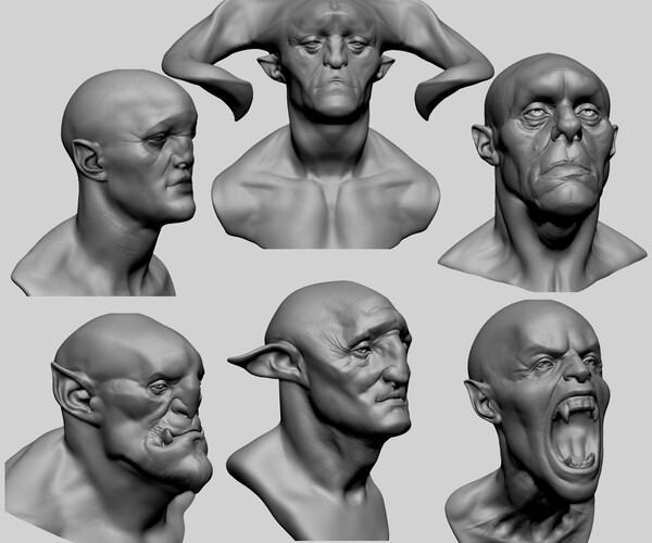 ArtStation - Creature Head Models for Reference | Resources