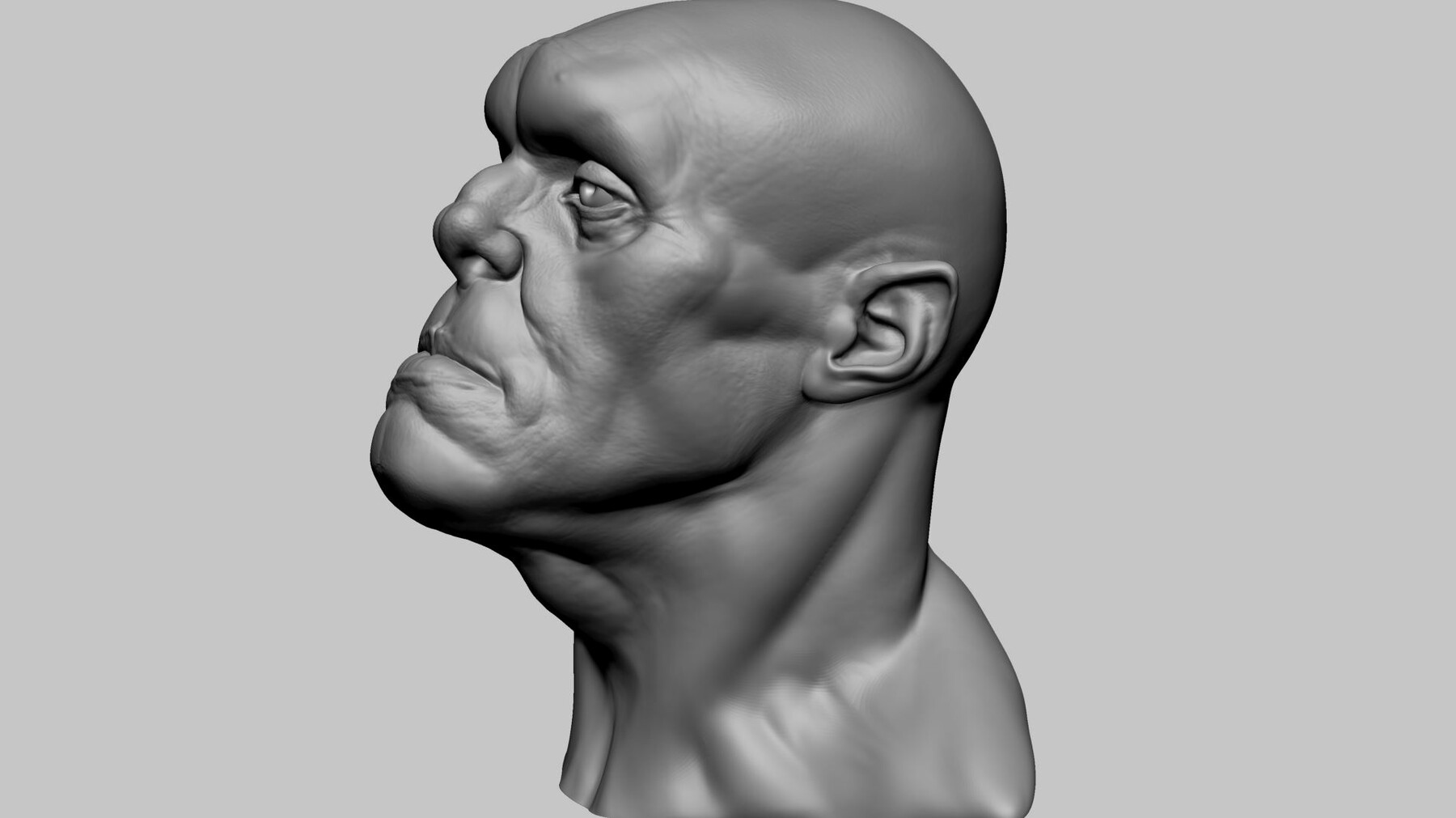 ArtStation - Creature Head Models for Reference | Resources