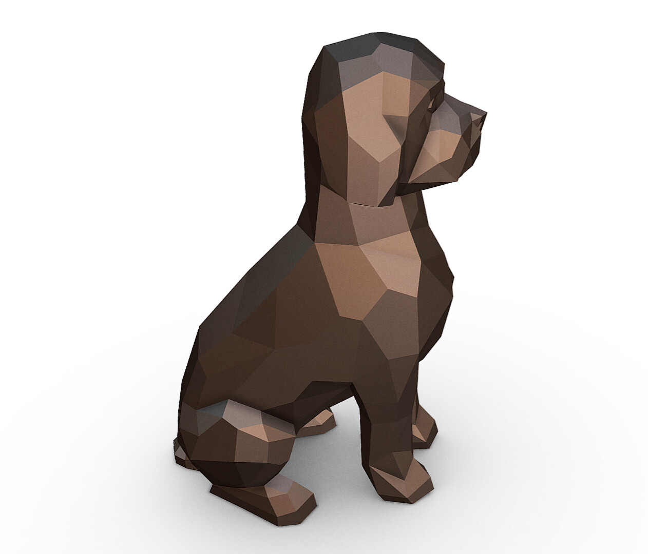 ArtStation - Lagotto Romagnolo | Resources