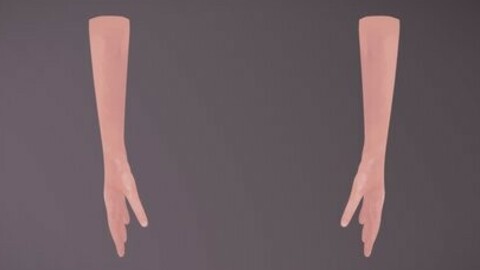 ArtStation - Painterly Female Hands | Game Assets