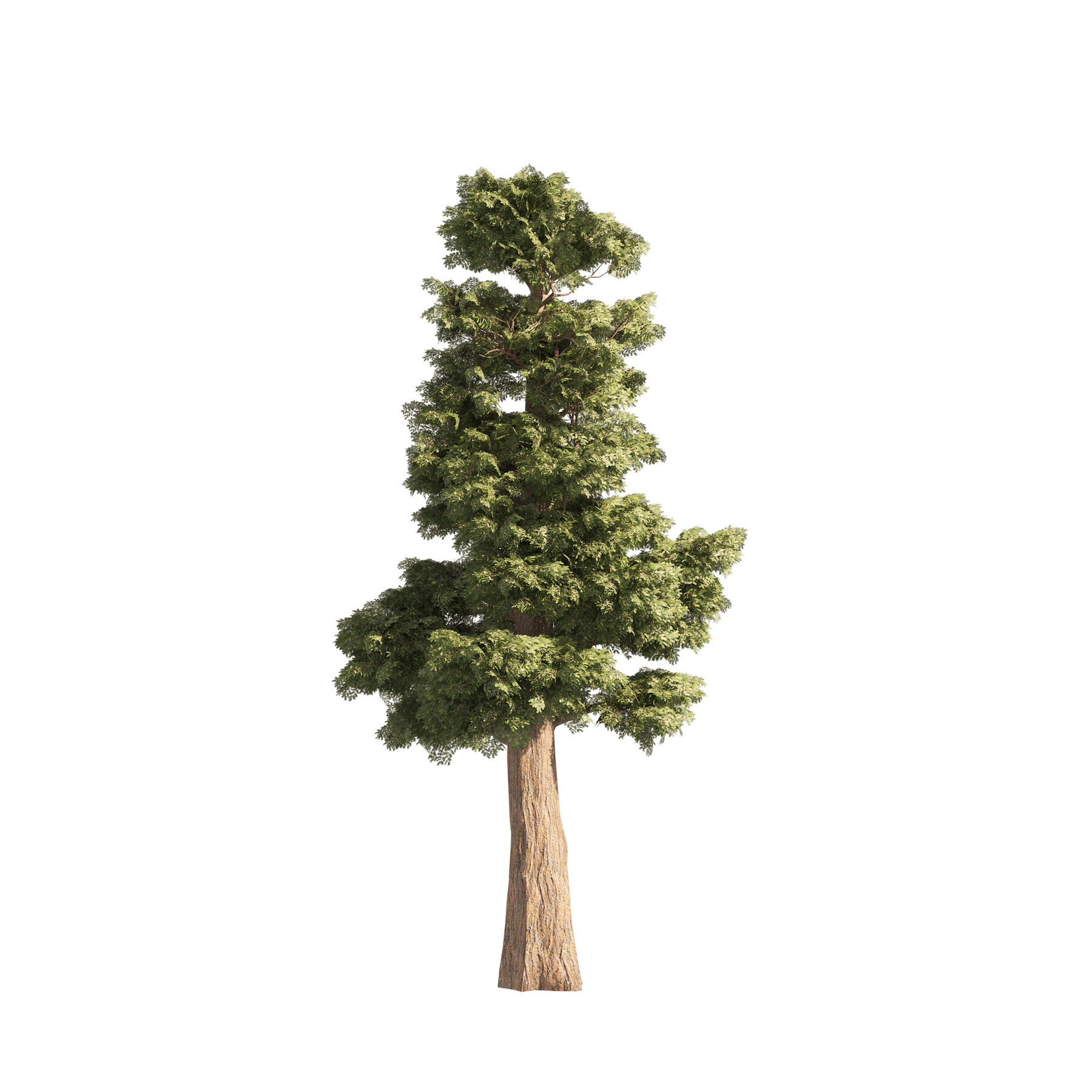 ArtStation - Small Redwoods trees | Resources