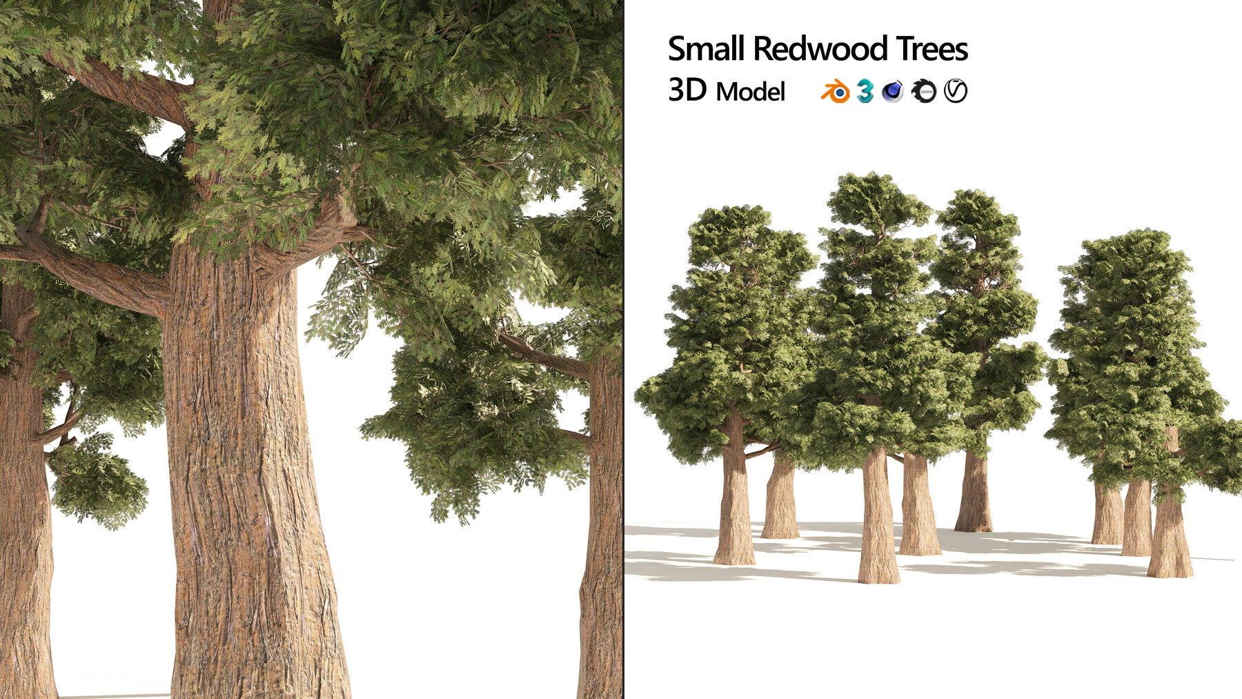 ArtStation - Small Redwoods trees | Resources