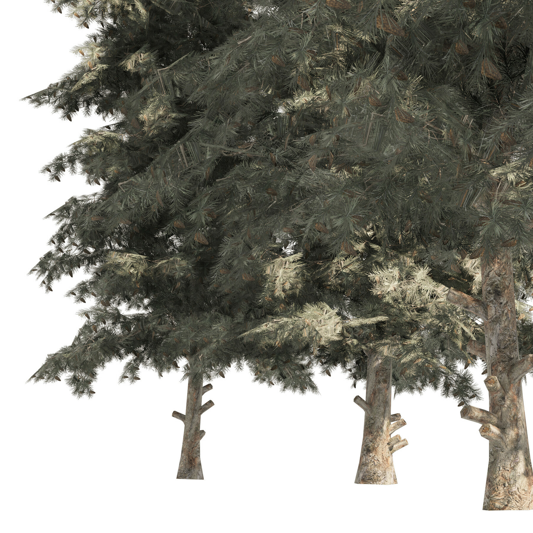 ArtStation - Blue Spruce Pine Trees | Game Assets
