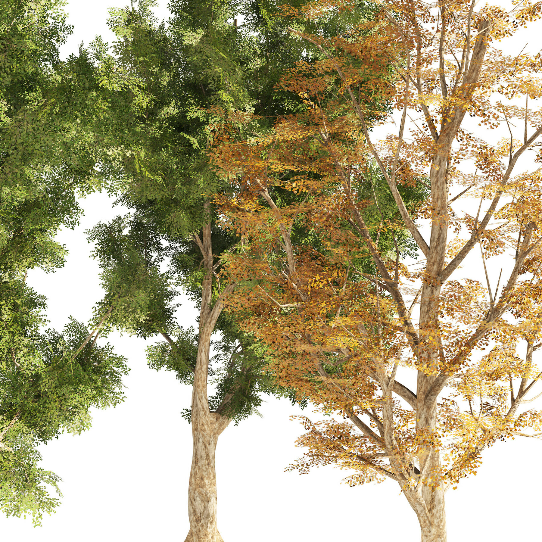 ArtStation - Summer & Autumn Street trees | Game Assets