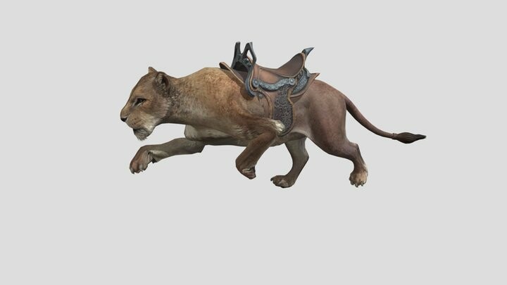 ArtStation - Lion1-04 | Game Assets