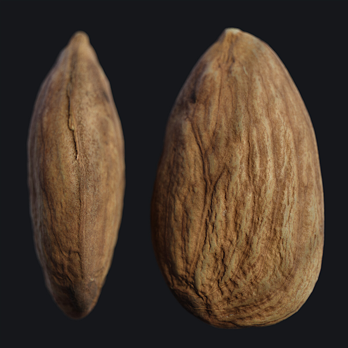 ArtStation - Almond | Game Assets