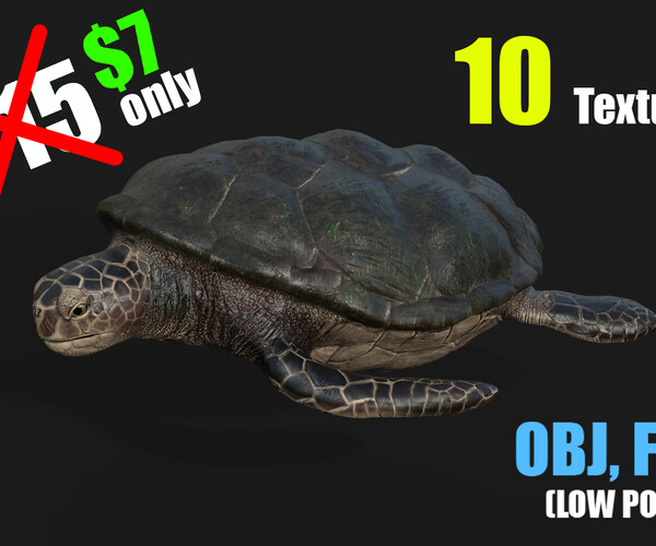 ArtStation - Sea Turtle Game Asset | Game Assets