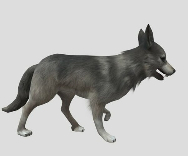 ArtStation - Wolf-1-08 | Game Assets
