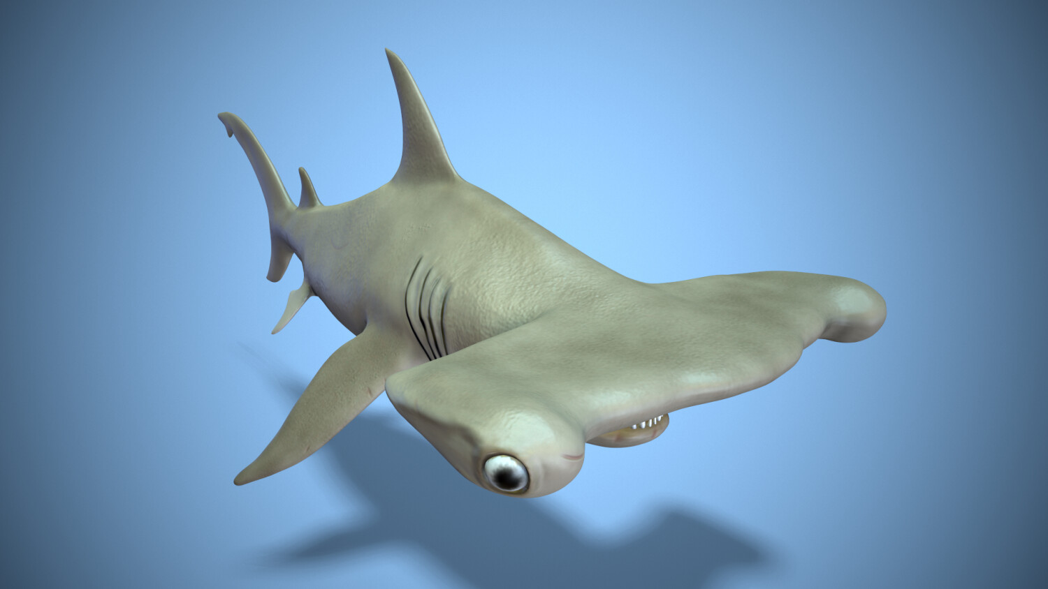 ArtStation - hammerhead shark | Game Assets