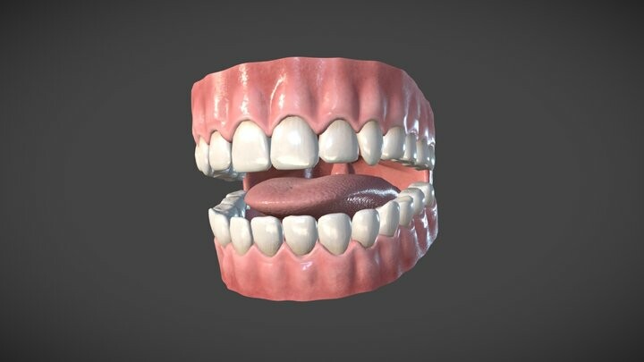 ArtStation - Human Teeth | Game Assets